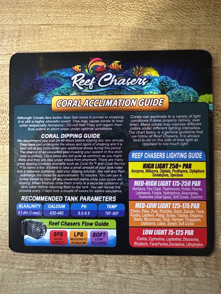 GODZILLA!! | Boston Reefers Society